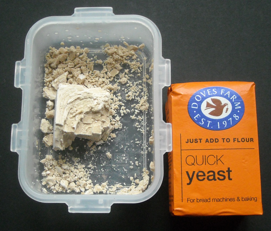 Photo of Fresh yeast and fast-action yeast.jpg
