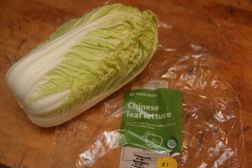 Photo of Napa cabbage.jpg