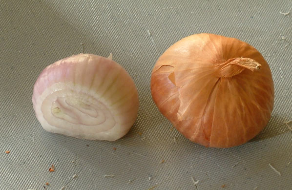 Shallots: Cooking Wiki