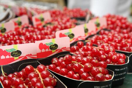 Redcurrants: Cooking Wiki