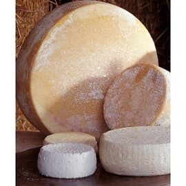 40 Cheeses from the Italian region of Lombardy (Lombardia)
