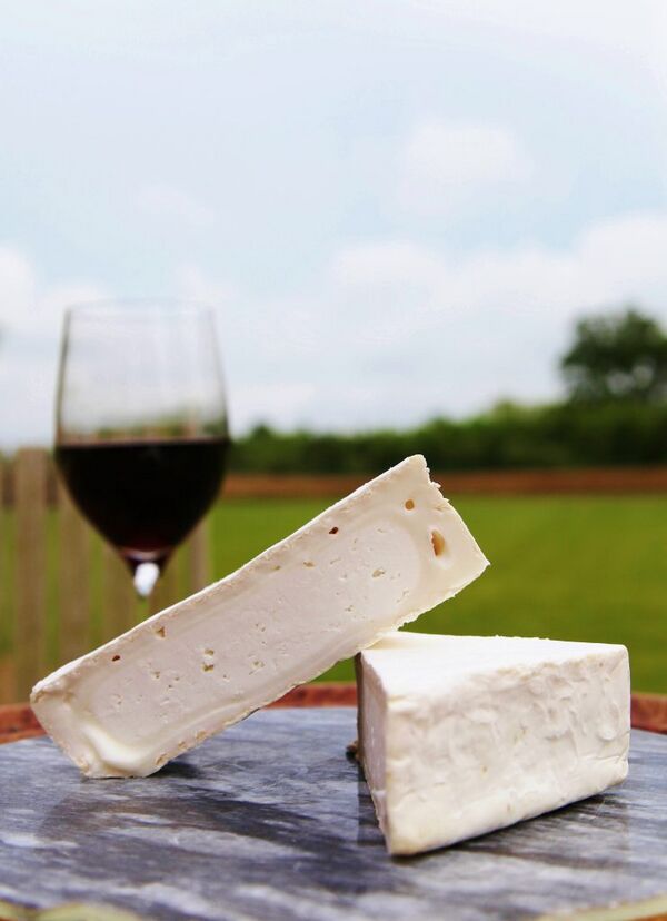 Wensum White Goat Cheese