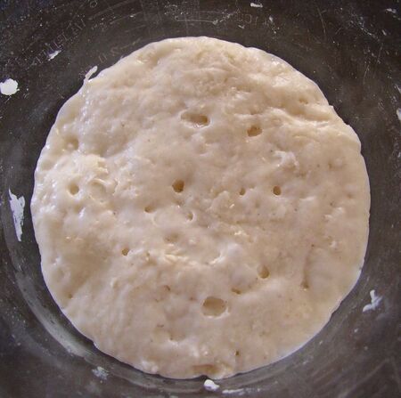 Biga, Italian recipe