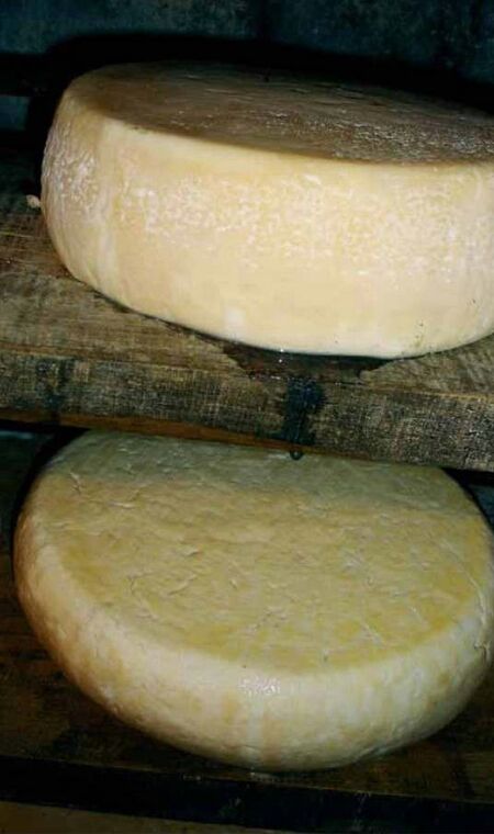 Malga bellunese cheese suppliers, pictures, product info