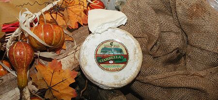 Biancospino cheese suppliers, pictures, product info