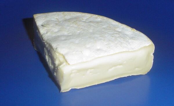 Reblochon aka Reblochon de Savoie cheese suppliers, pictures, product info