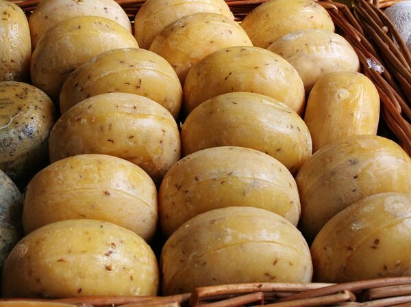 Friesian clove cheese suppliers, pictures, product info