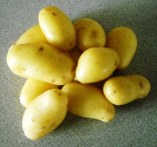 Potato recipes: Wiki facts for this cookery ingredient