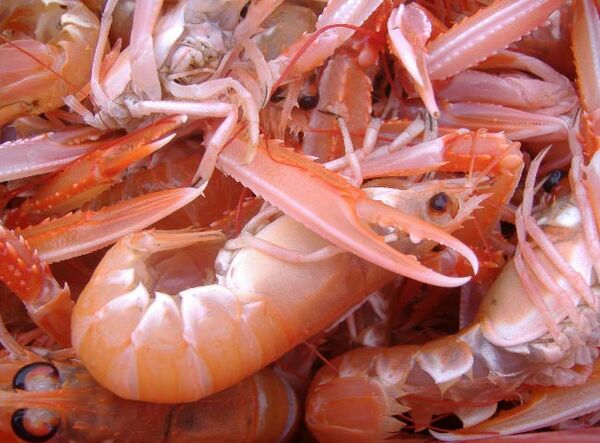 Langoustines: Cooking Wiki