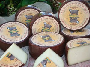 Pecorino dolce dei Colli Bolognesi cheese suppliers, pictures, product info